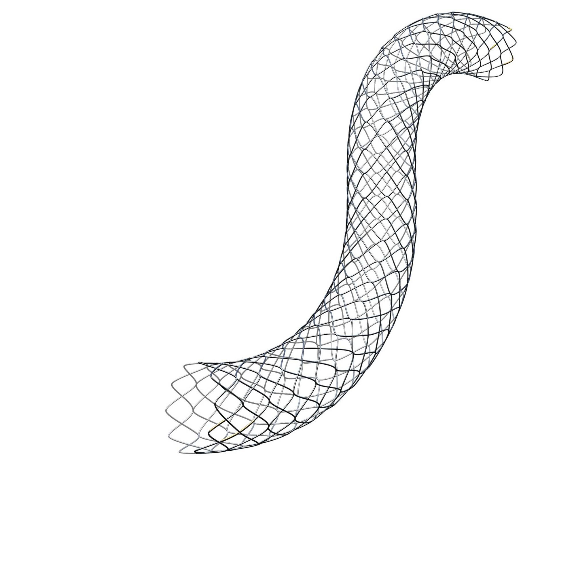 D Biliary Stent - HC21